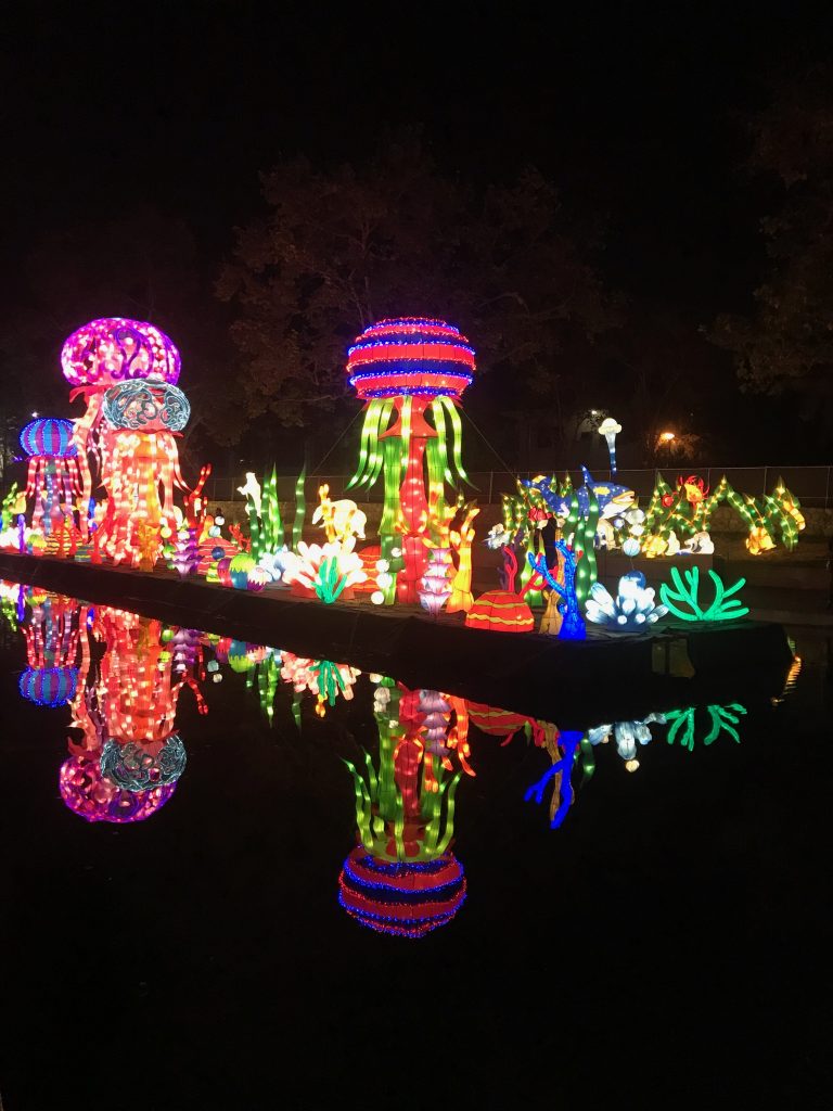 Life-Sized Art Sculptures in the Desert - Anza- Borrego - Family Fun