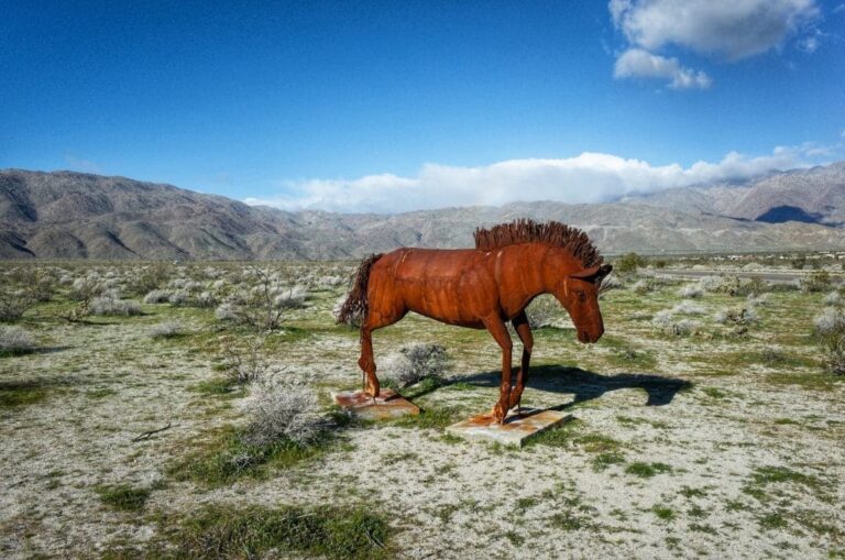Life-Sized Art Sculptures in the Desert - Anza- Borrego - Family Fun