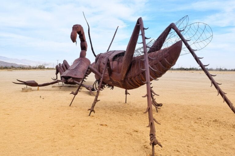 Life-Sized Art Sculptures in the Desert - Anza- Borrego - Family Fun