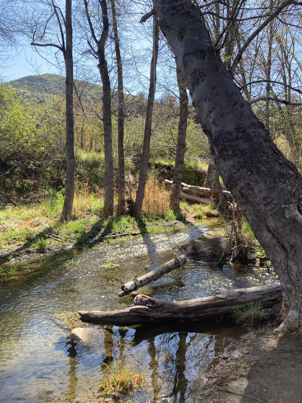 Middle Lion Campground Near Ojai, CA